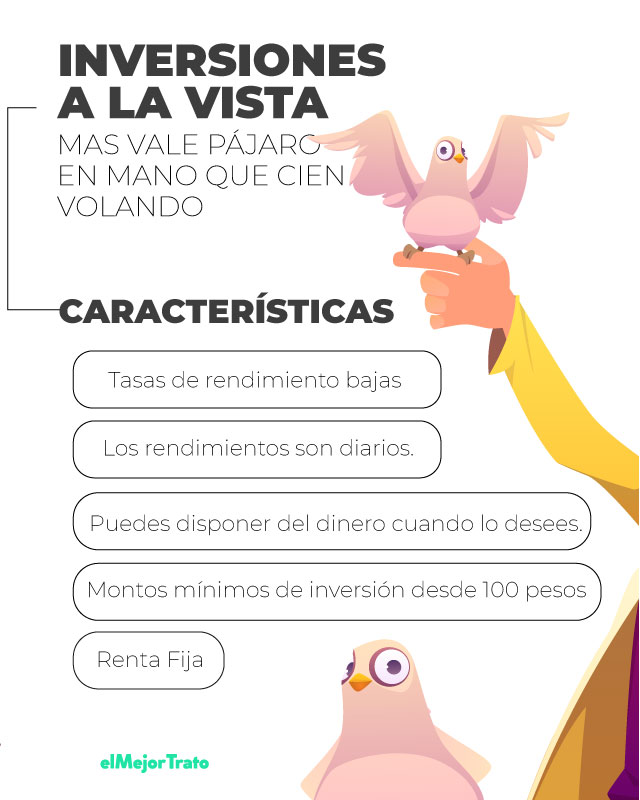 ¿Qué es un cheque a inversión vista? – Descubre sus características ...